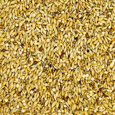 Canto Alegre | ADERCEREAL